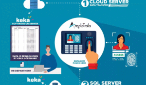 Keka Attendance Login: A Complete Guide for Employees